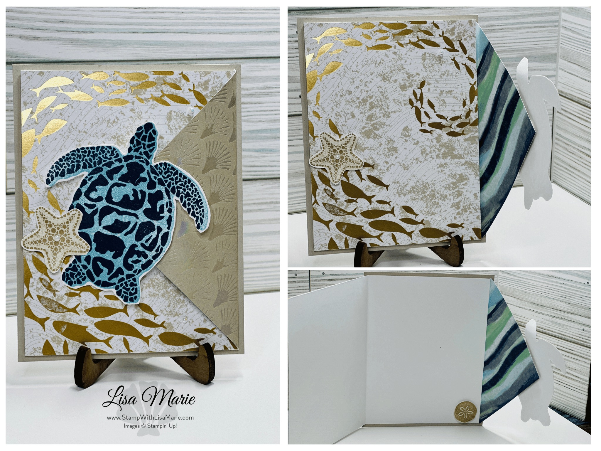 Stampin’ Up! Sea Turtle Fun Fold - Lisa Marie Smith, Stampin' Up ...